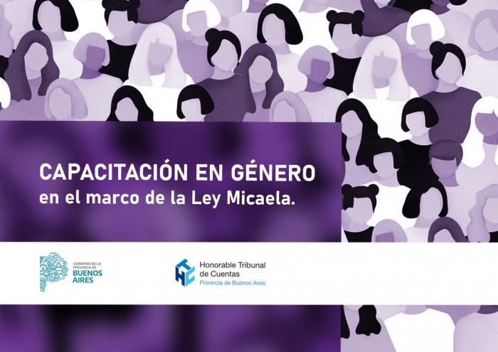 Ley Micaela: Formación en género y violencia contra las mujeres en el Honorable Tribunal de ...
